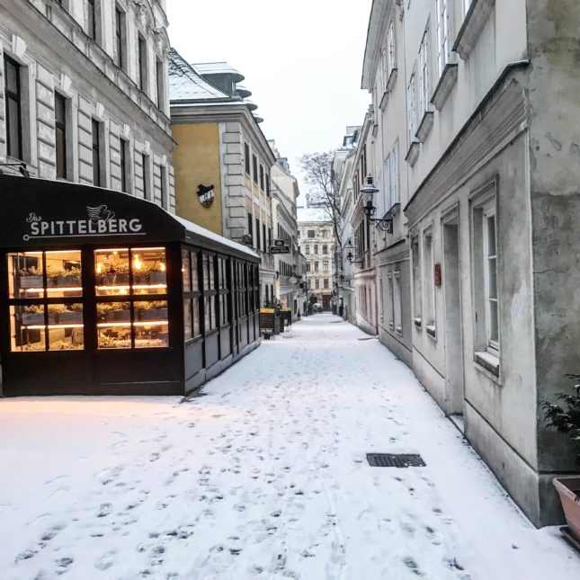 This is Vienna (A photo essay): 15 pictures of Vienna in snow - Vienna ...