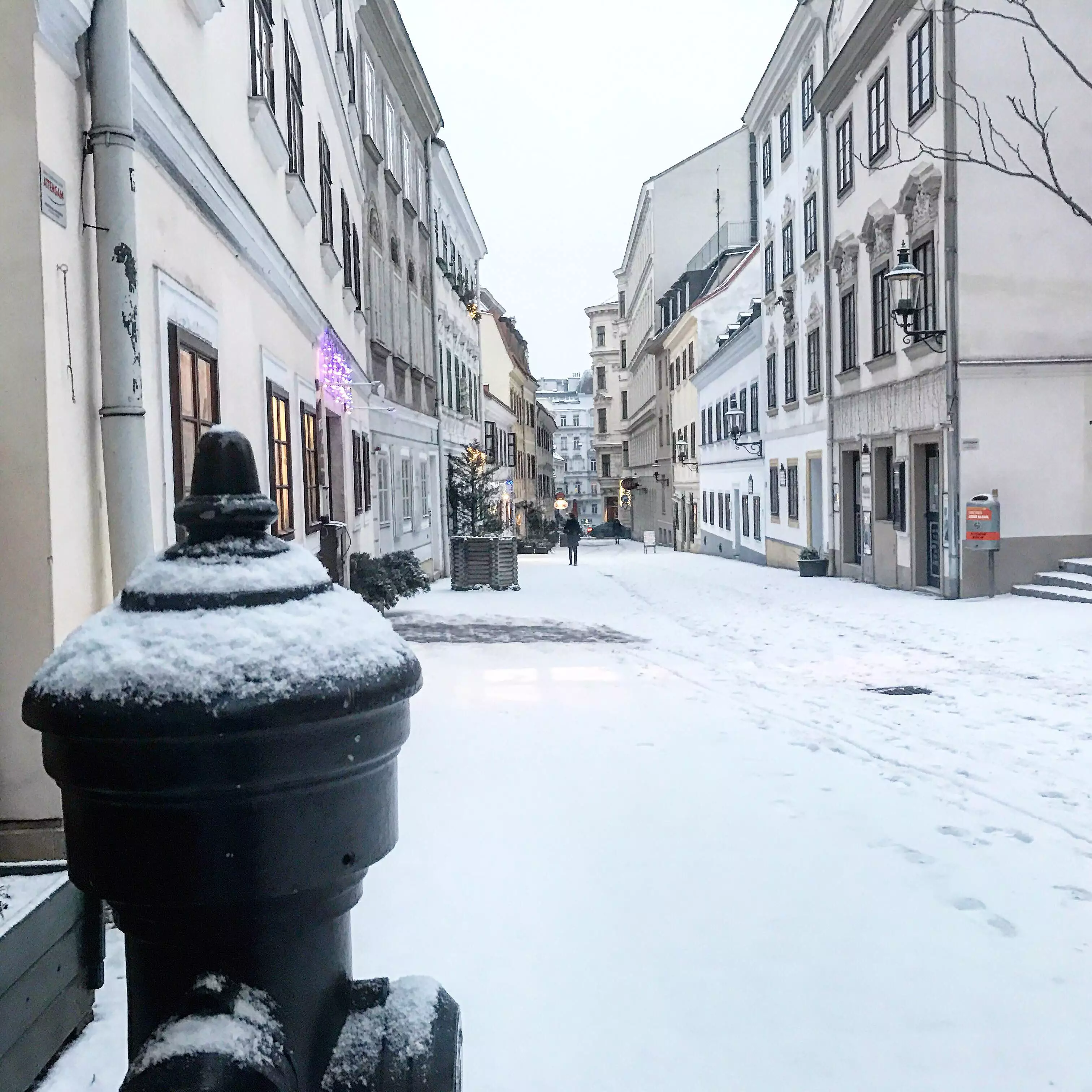This is Vienna (A photo essay): 15 pictures of Vienna in snow - Vienna ...