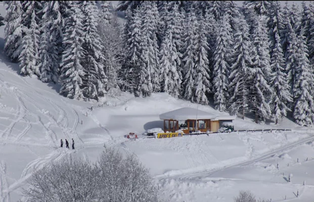 5 spots for skiing day trips from Vienna (even if you don’t have a car)