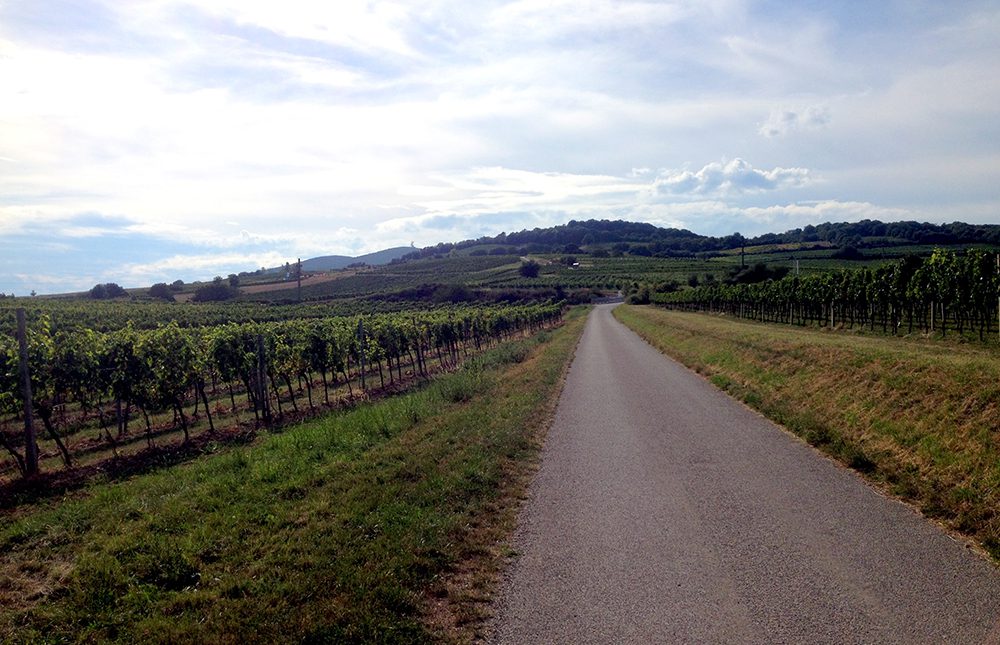 4 of our favourite nature walks, in and around Vienna - Vienna Würstelstand