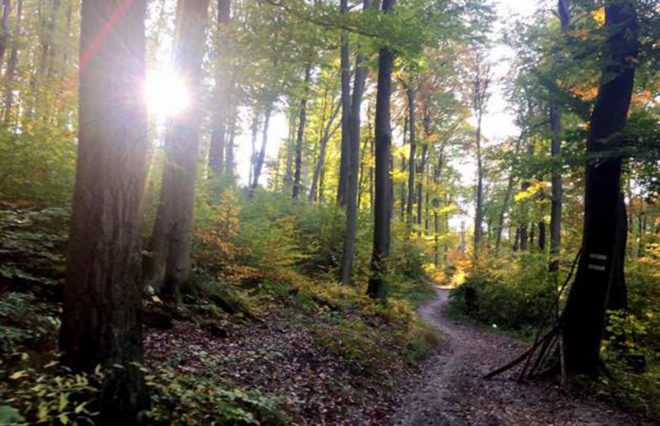 4 of our favourite nature walks, in and around Vienna - Vienna Würstelstand