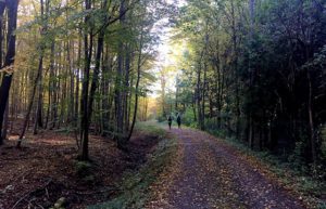 6 special nature spots to escape to in Vienna - Vienna Würstelstand