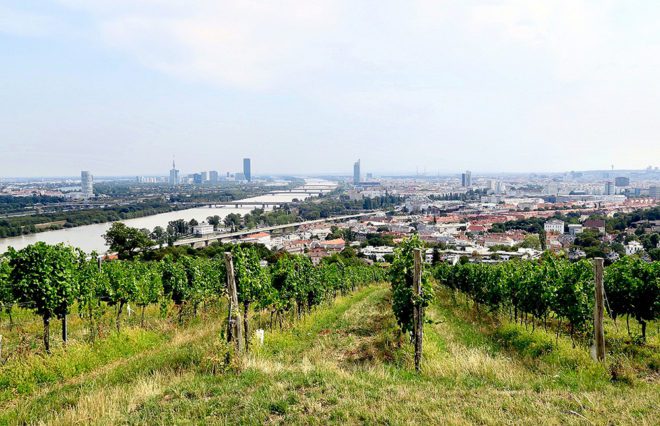 13 places to see breathtaking views of Vienna's skyline from above
