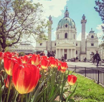 The 13 stages of spring that you'll recognise if you live in Vienna