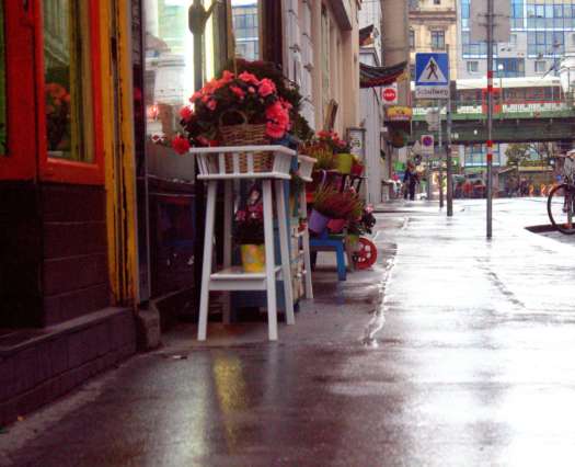 The 13 stages of spring that you'll recognise if you live in Vienna