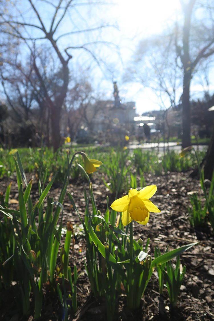 12 pictures that prove Vienna looks its absolute best in spring ...