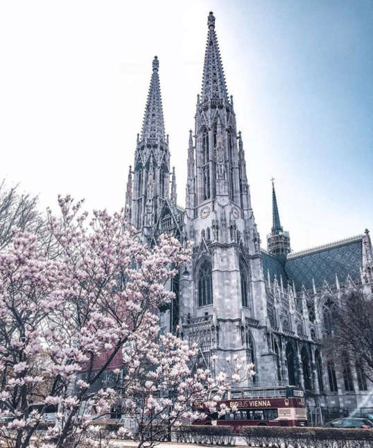 12 pictures that prove Vienna looks its absolute best in spring ...
