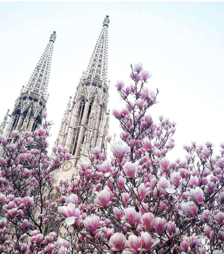 The 16 things we are most looking forward to do in Vienna as soon as ...