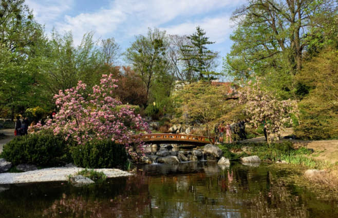 The 16 things we are most looking forward to do in Vienna as soon as ...