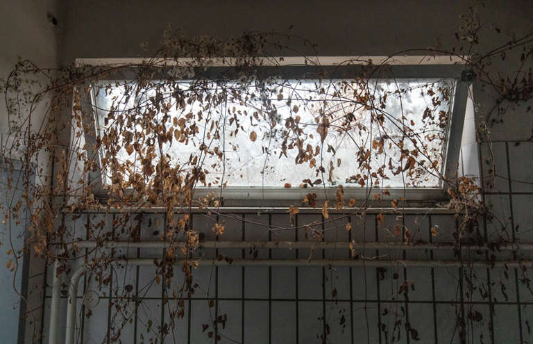 Abandoned Vienna: urban explorer captures creepy photos from inside a ...