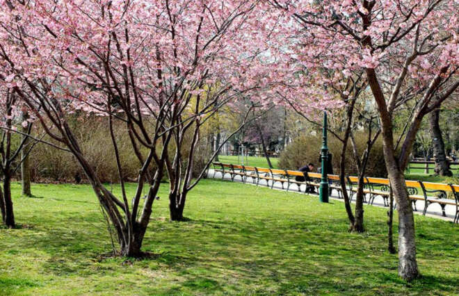 How Vienna’s green spaces saved us during the strangest year - Vienna ...