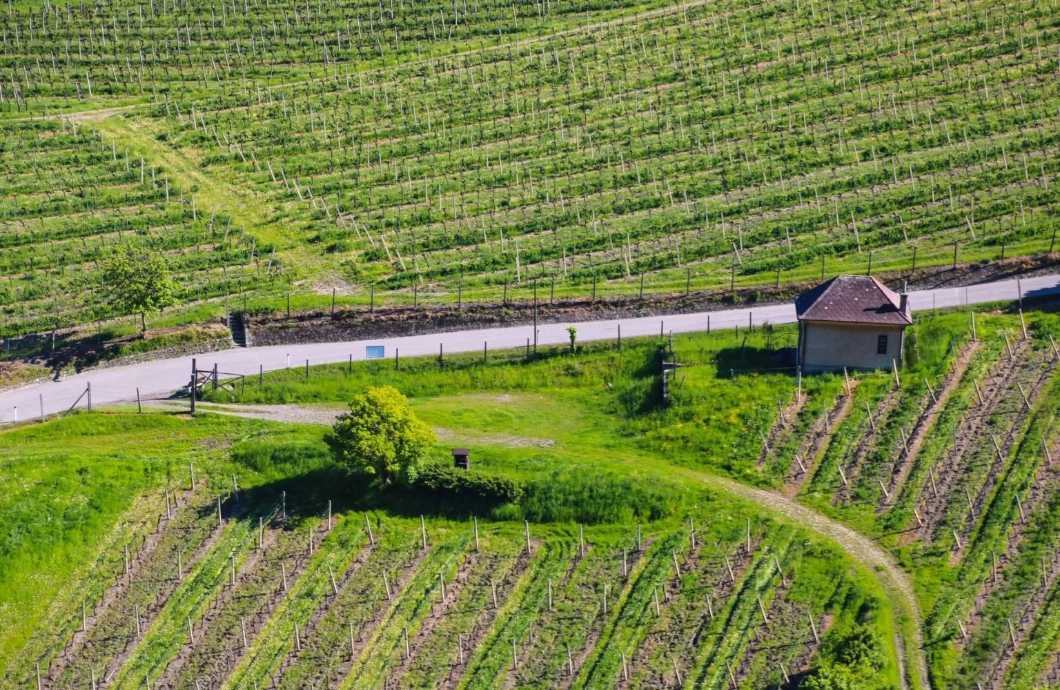 5 hiking routes around Vienna you need to do in Vienna while it's warm ...