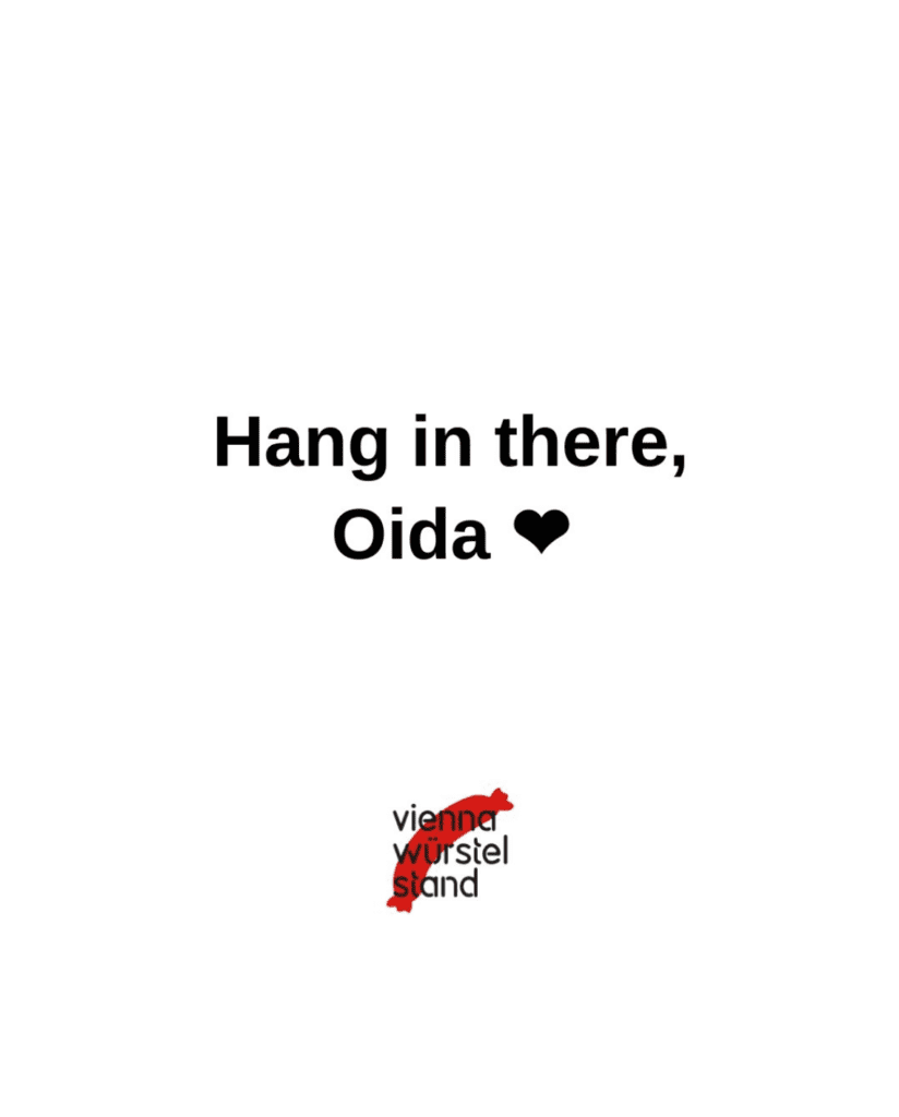 The incredible year Vienna has had explained in 34 memes and TikTok ...