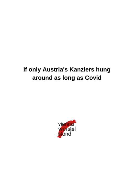 The incredible year Vienna has had explained in 34 memes and TikTok ...