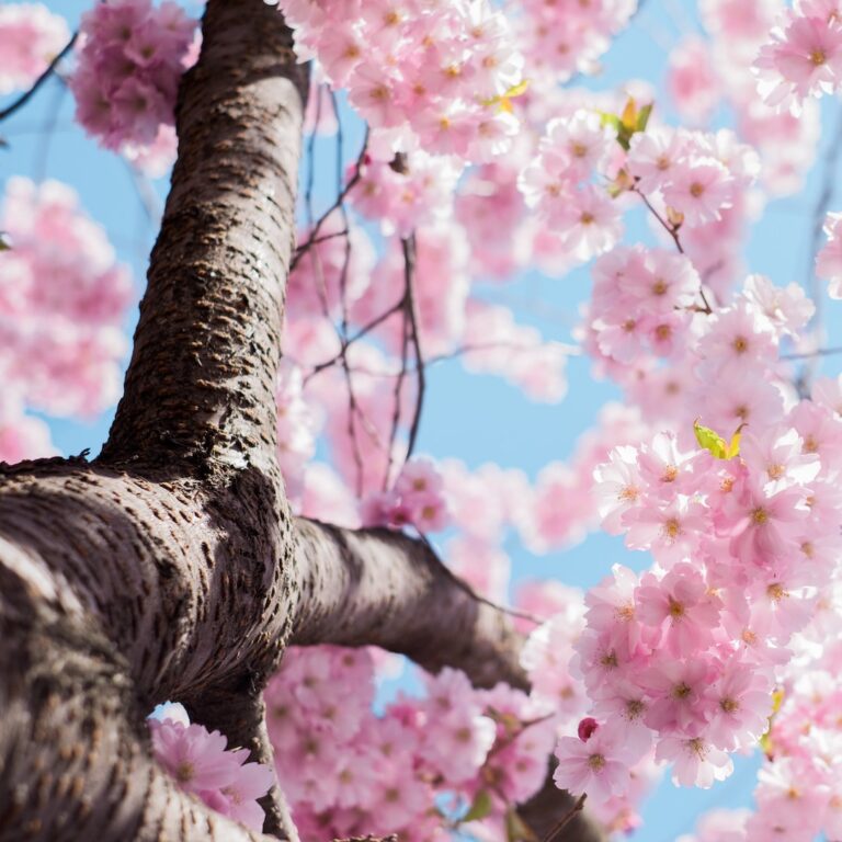 The 11 things we are most looking forward to do in Vienna as soon as ...