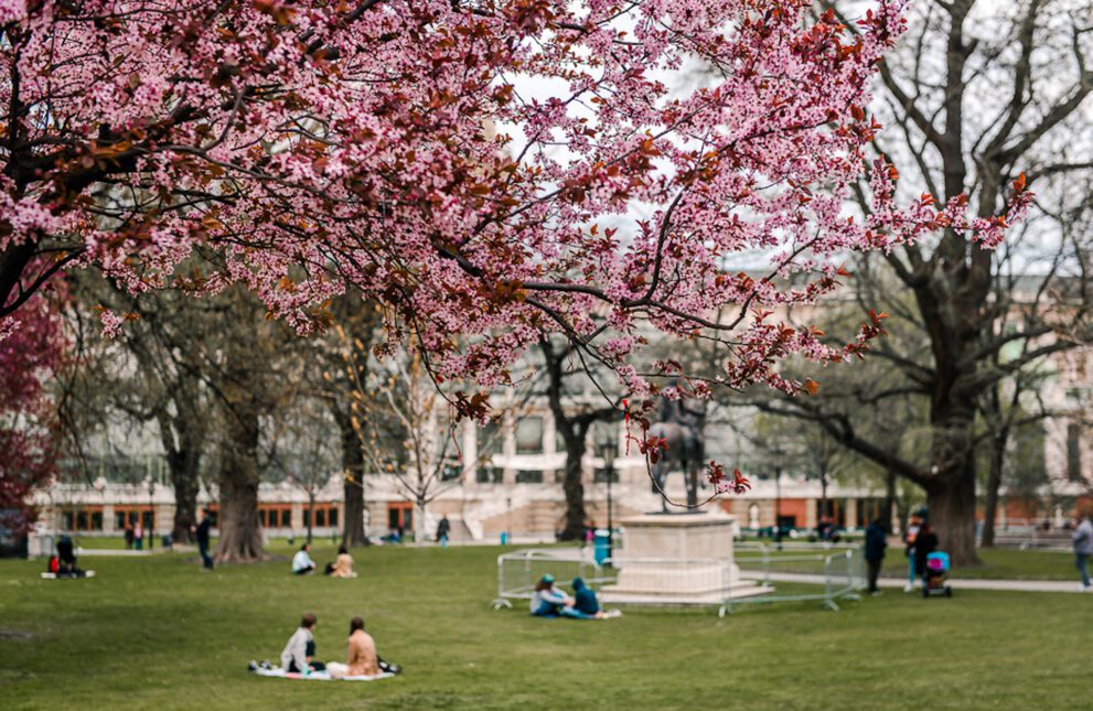The 13 stages of spring that you'll recognise if you live in Vienna