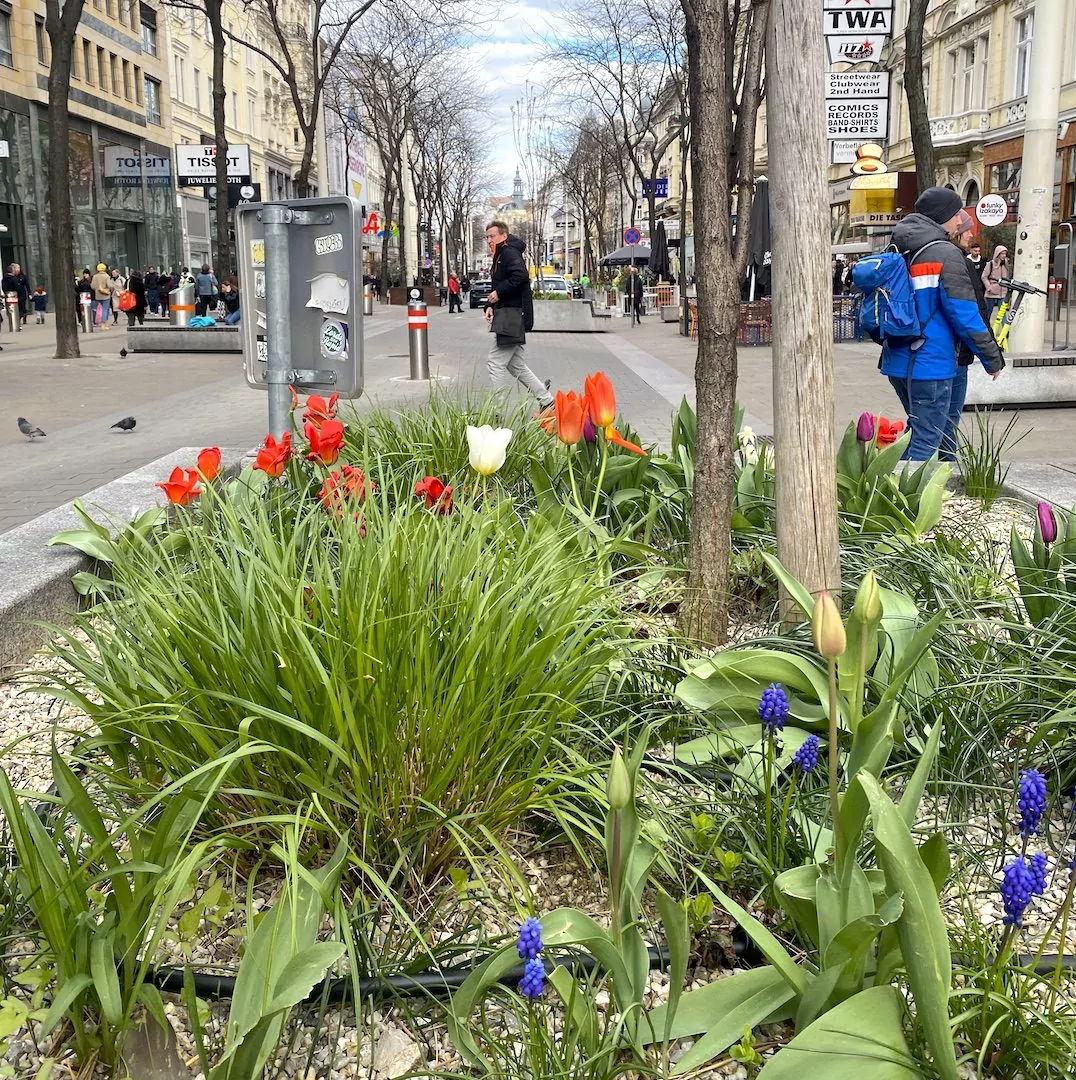 The 13 stages of spring that you'll recognise if you live in Vienna