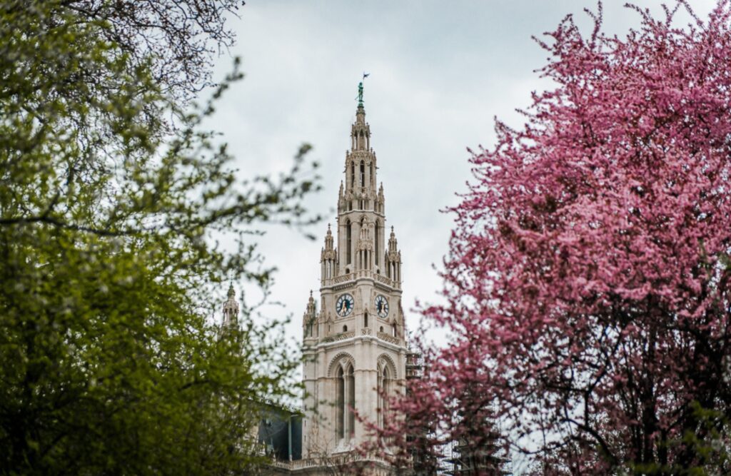 The 11 things we are most looking forward to do in Vienna as soon as ...